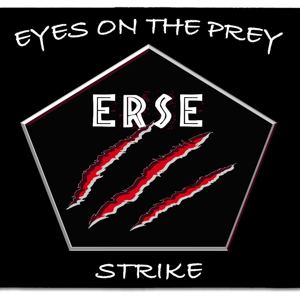 One Sided Flag with Grommets. Comes in multiple sizes. – FortCarsonSwag